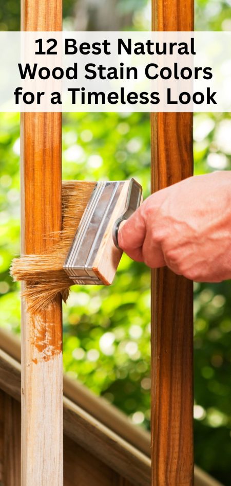 12 Best Natural Wood Stain Colors for a Timeless Look